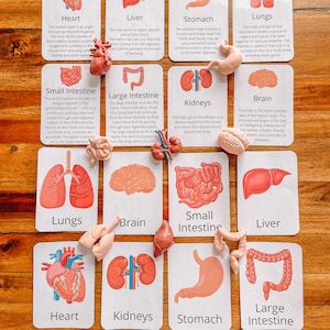 Hospital Dramatic Play Unit - Etsy