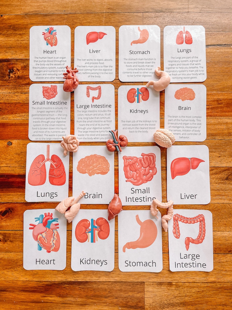 Hospital Dramatic Play Unit - Etsy