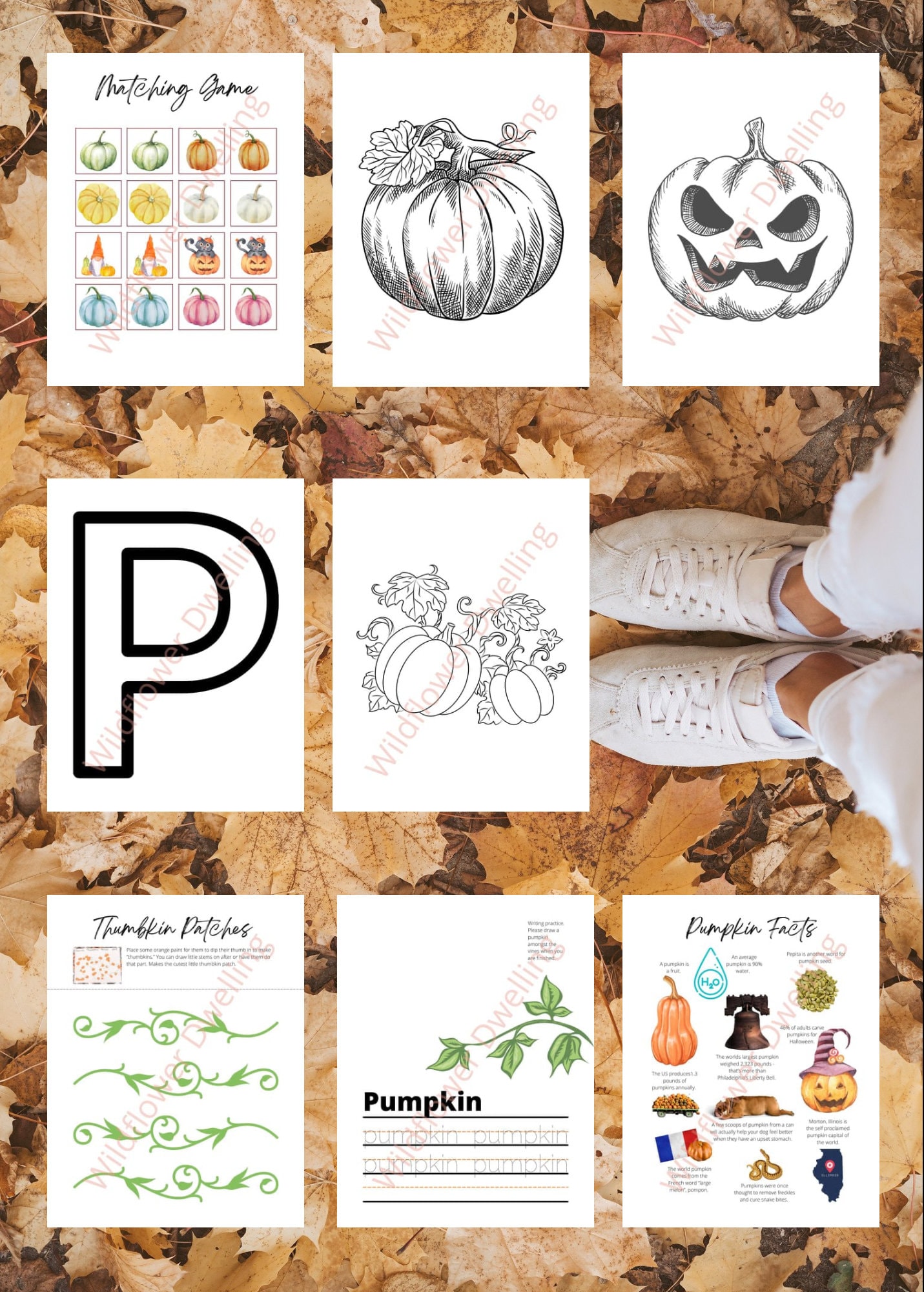 Autumn Unit Study - Etsy