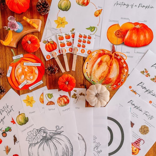 Autumn Unit Study - Etsy