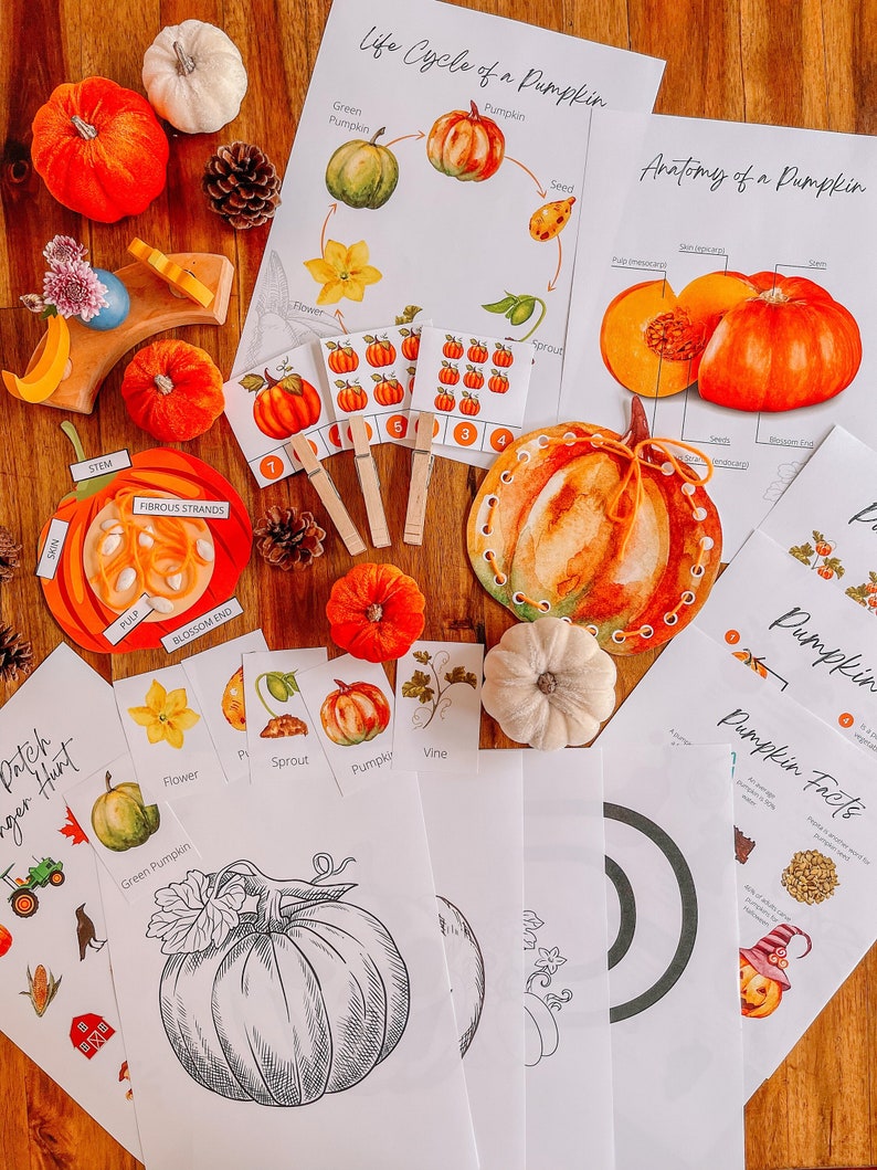 Autumn Unit Study - Etsy