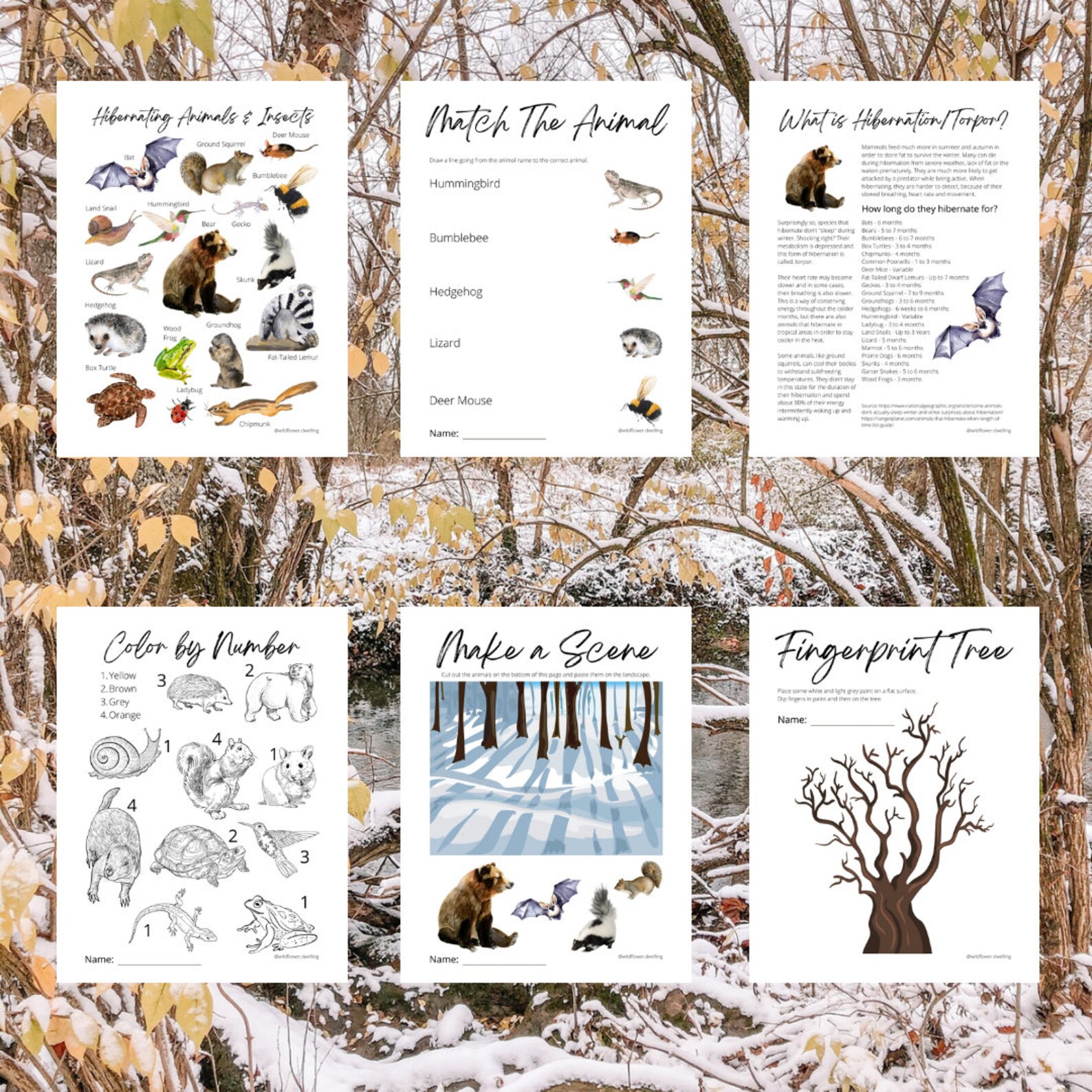 Winter Unit Study - Etsy