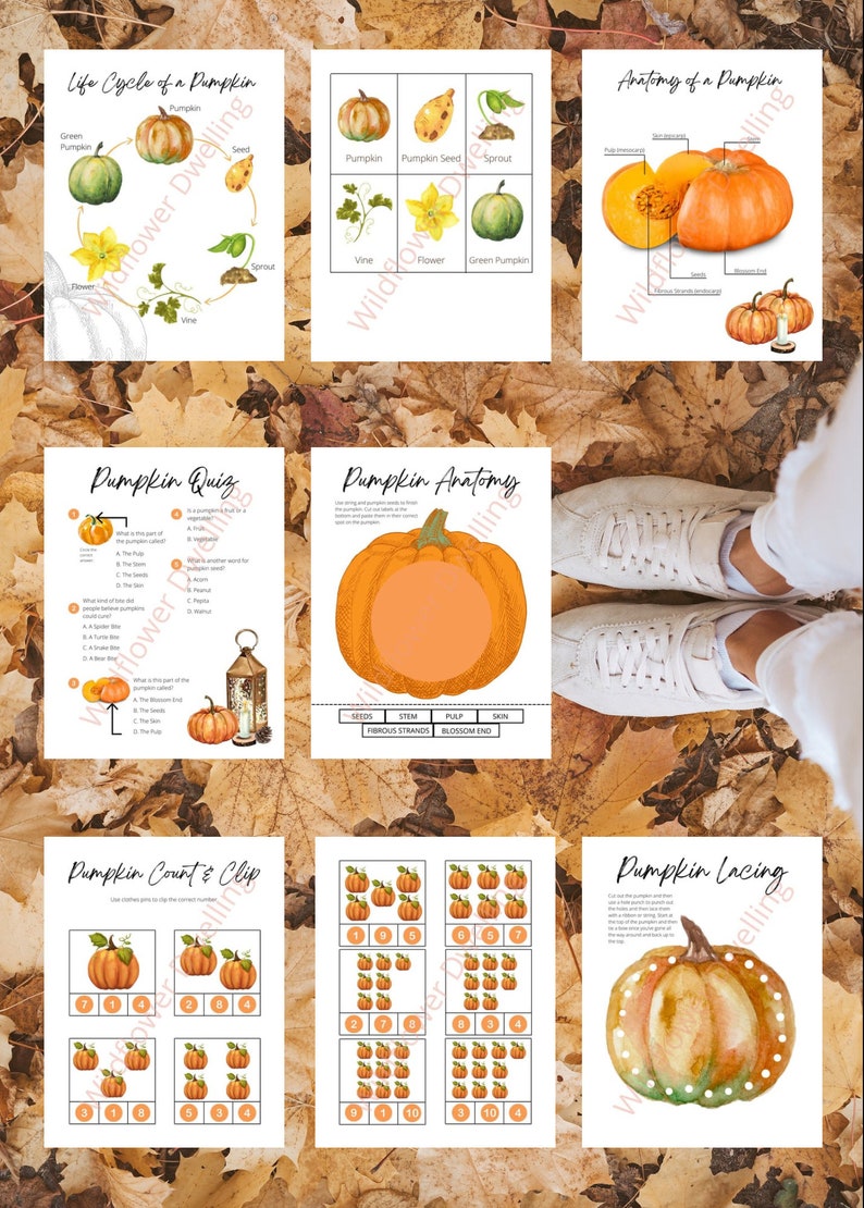 Autumn Unit Study - Etsy