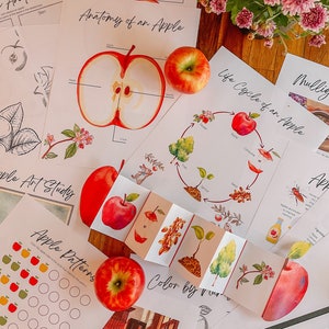 Autumn Unit Study - Etsy