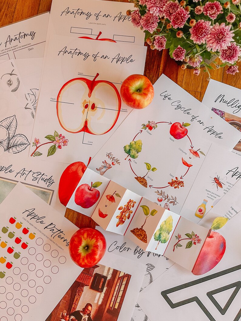 Autumn Unit Study - Etsy