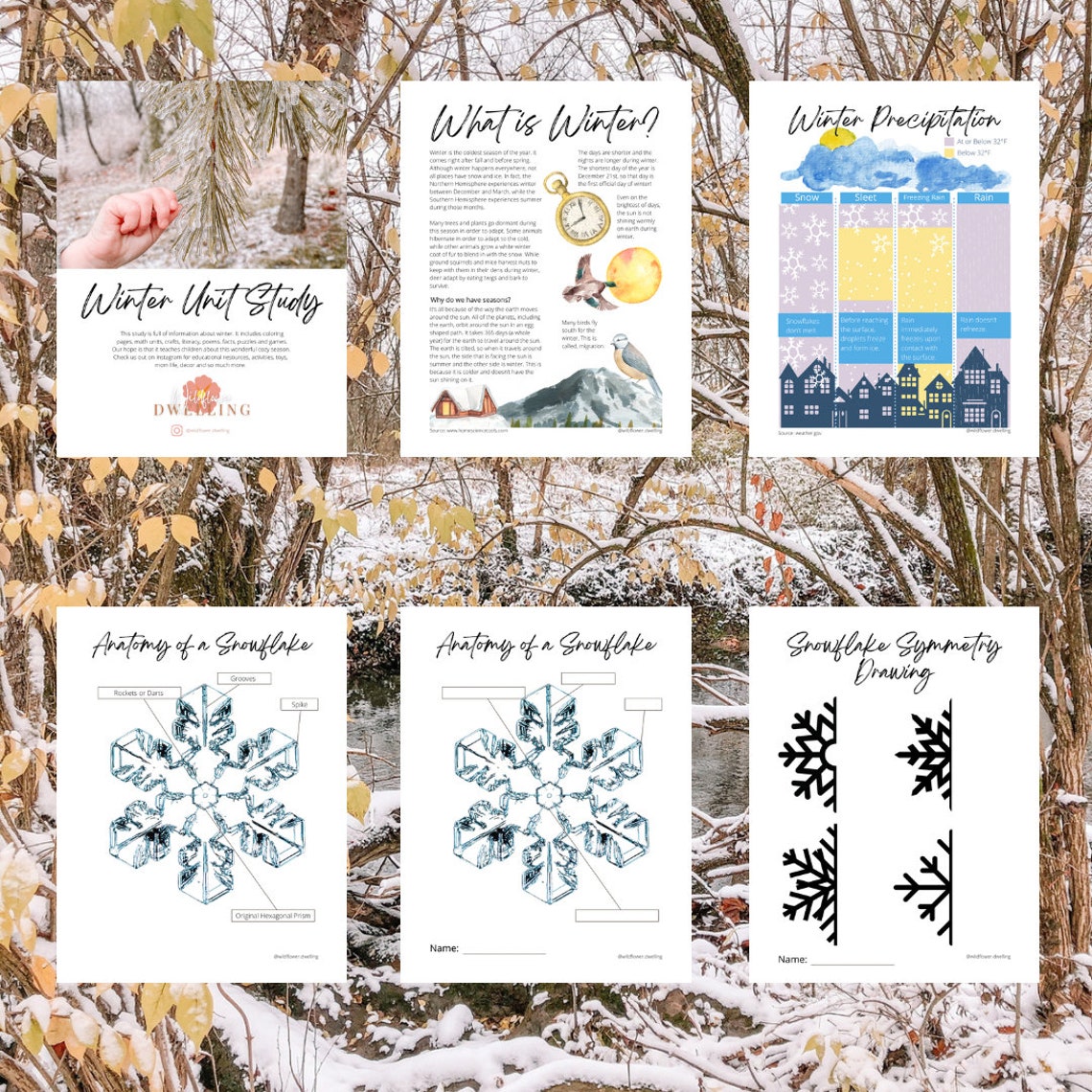 Winter Unit Study - Etsy