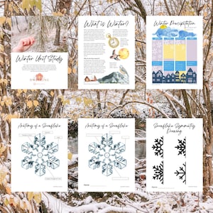 Winter Unit Study - Etsy
