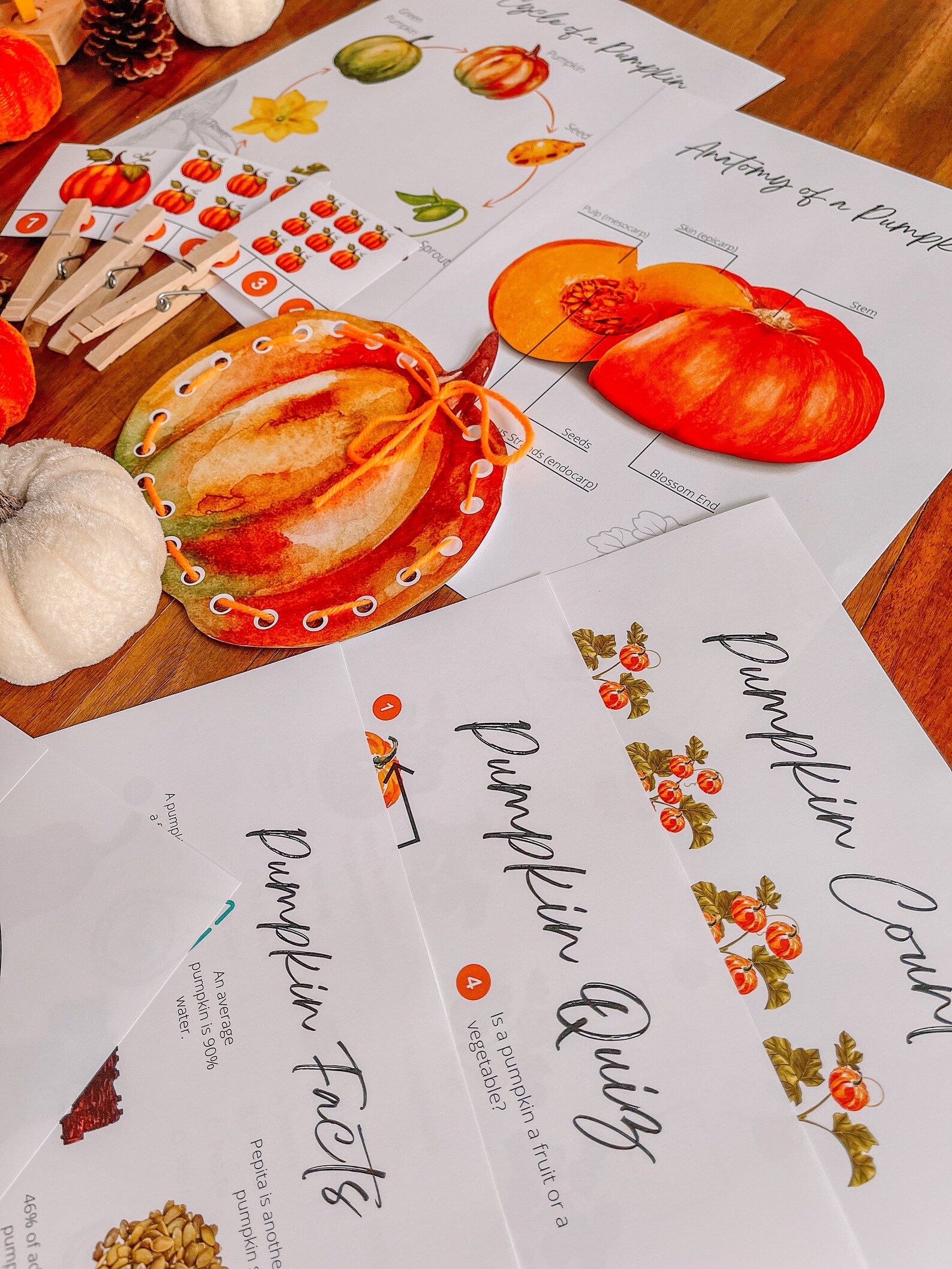 Autumn Unit Study - Etsy