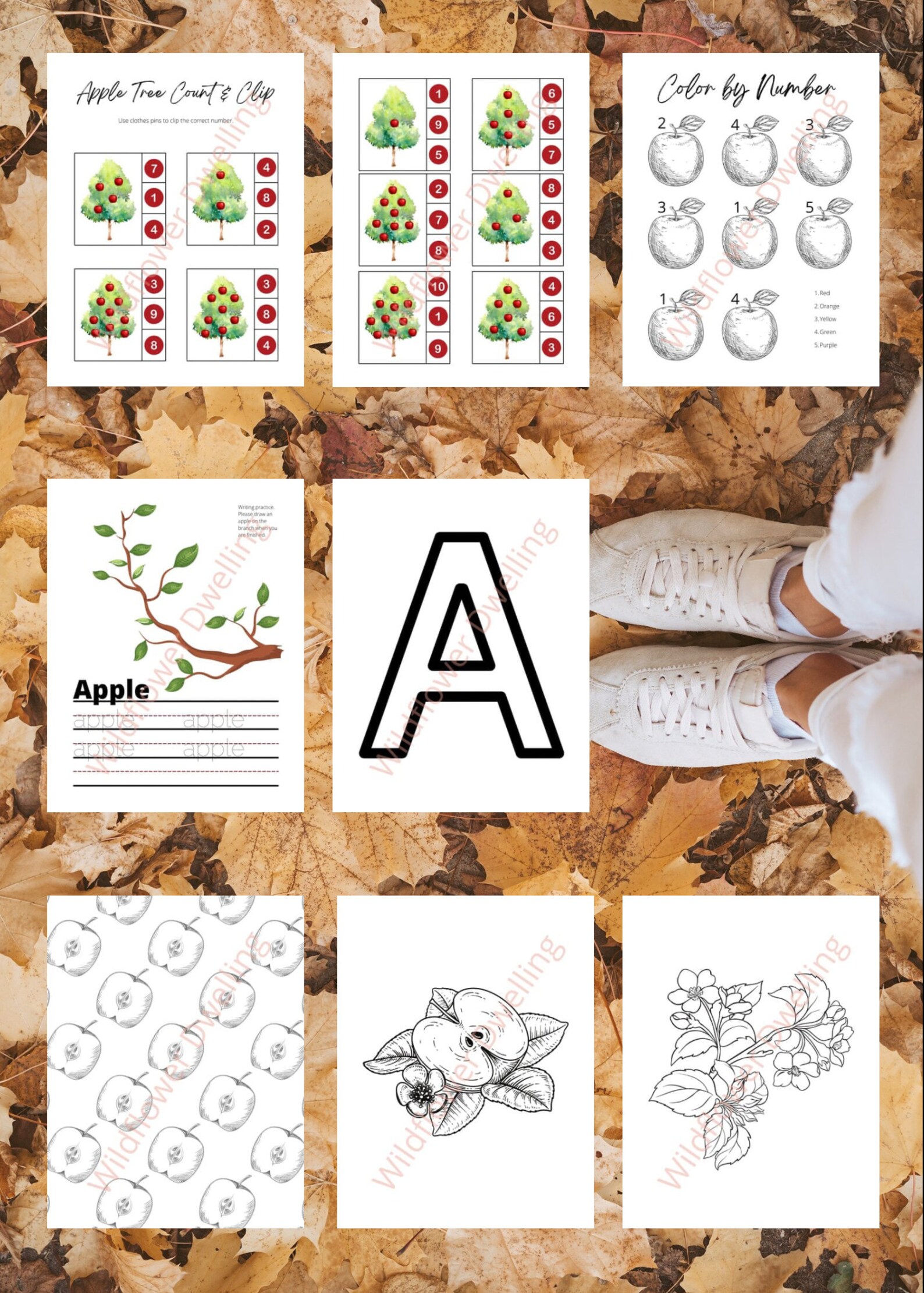 Autumn Unit Study - Etsy