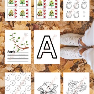 Autumn Unit Study - Etsy