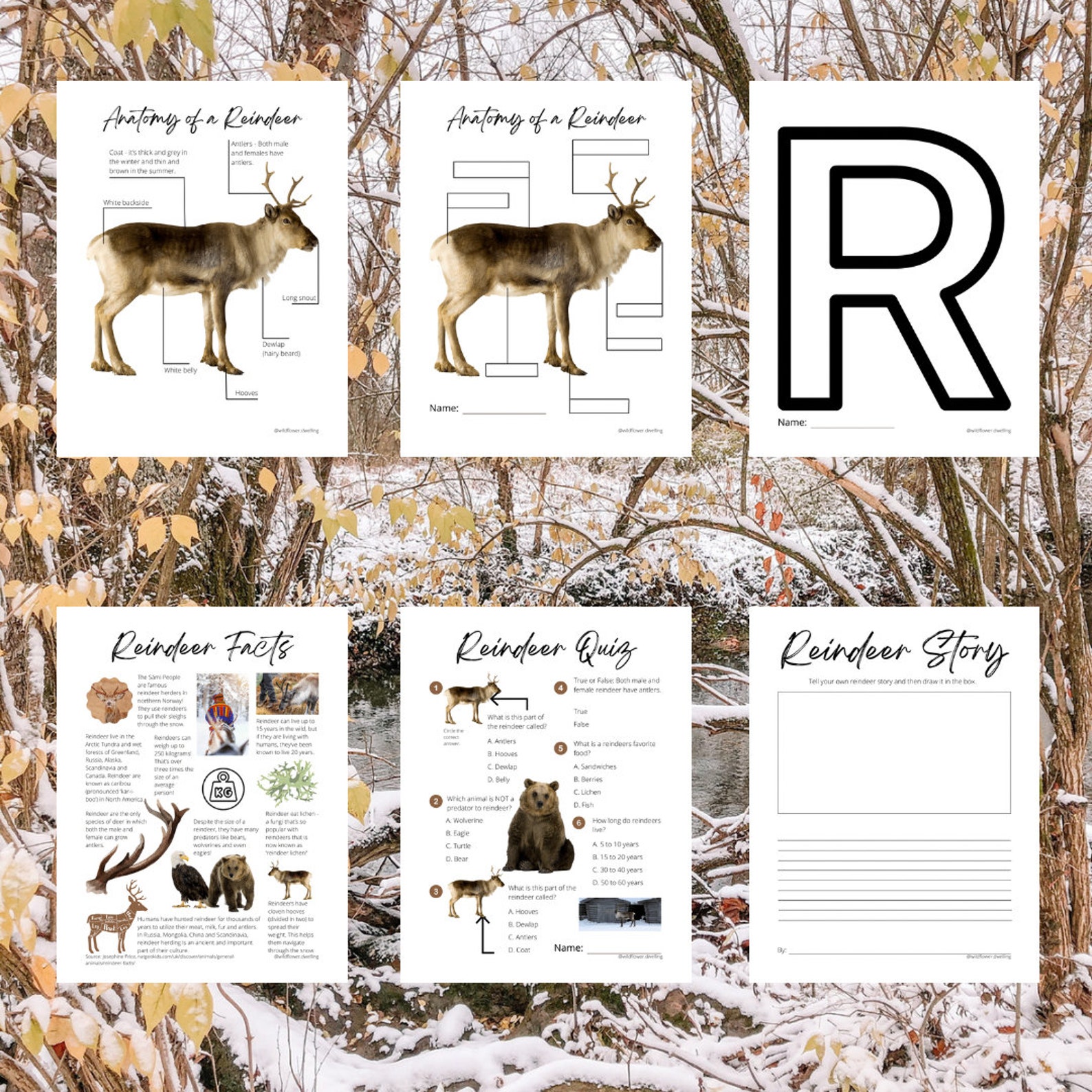 Winter Unit Study | Etsy