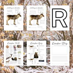 Winter Unit Study - Etsy