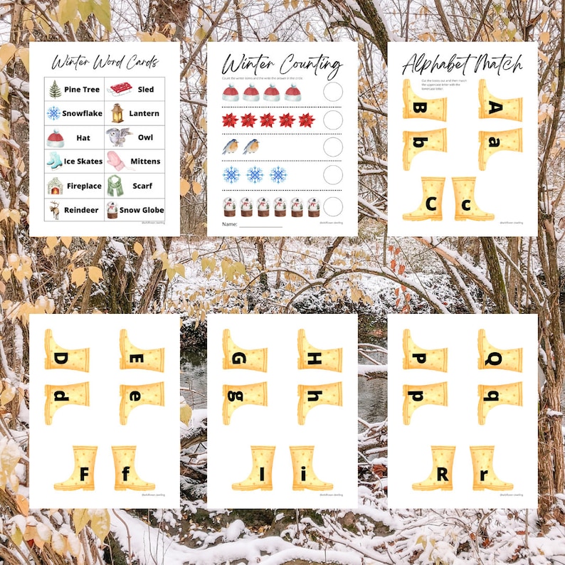 Winter Unit Study - Etsy