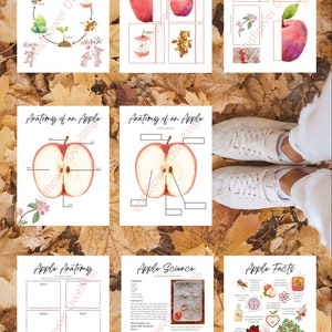 Autumn Unit Study - Etsy
