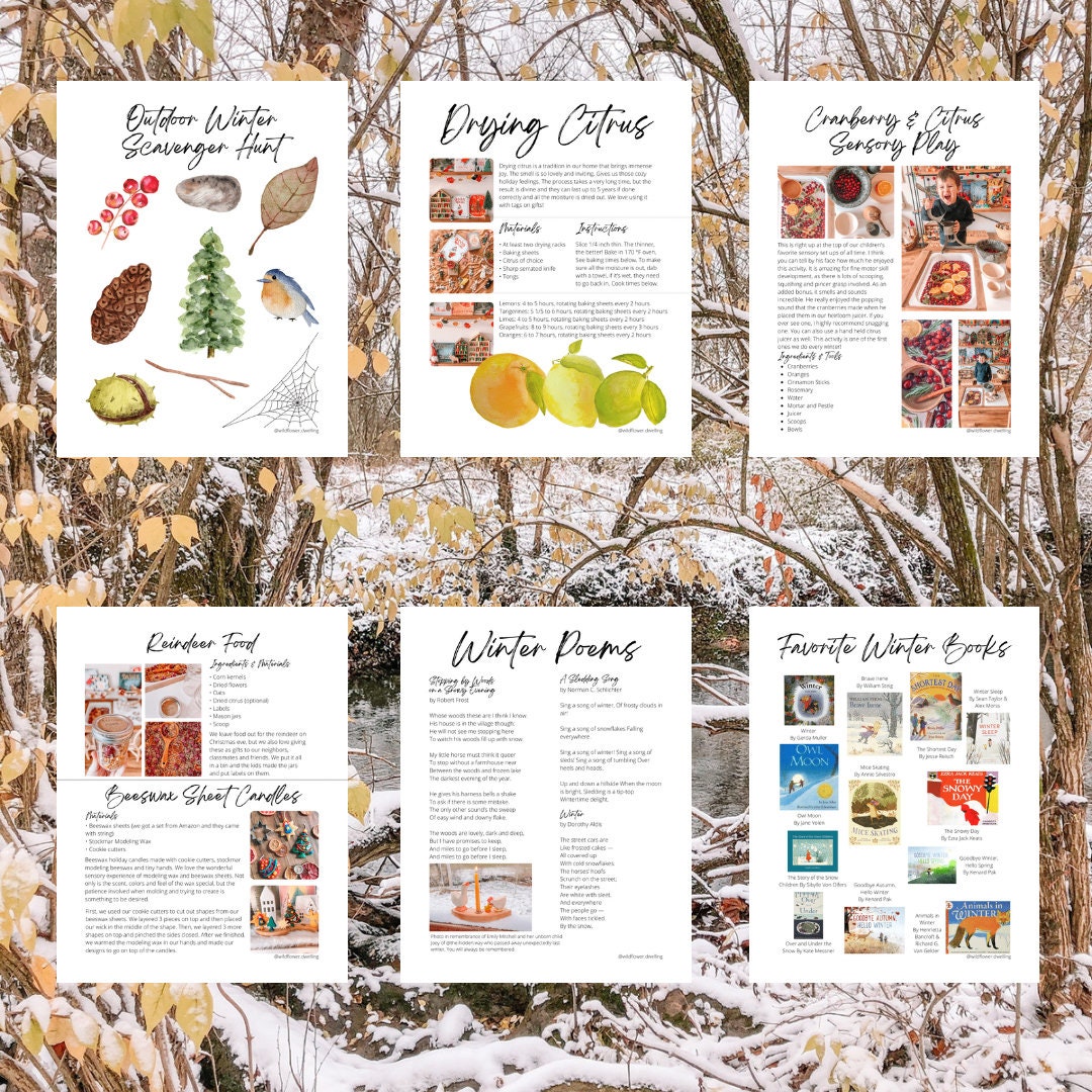 Winter Unit Study | Etsy