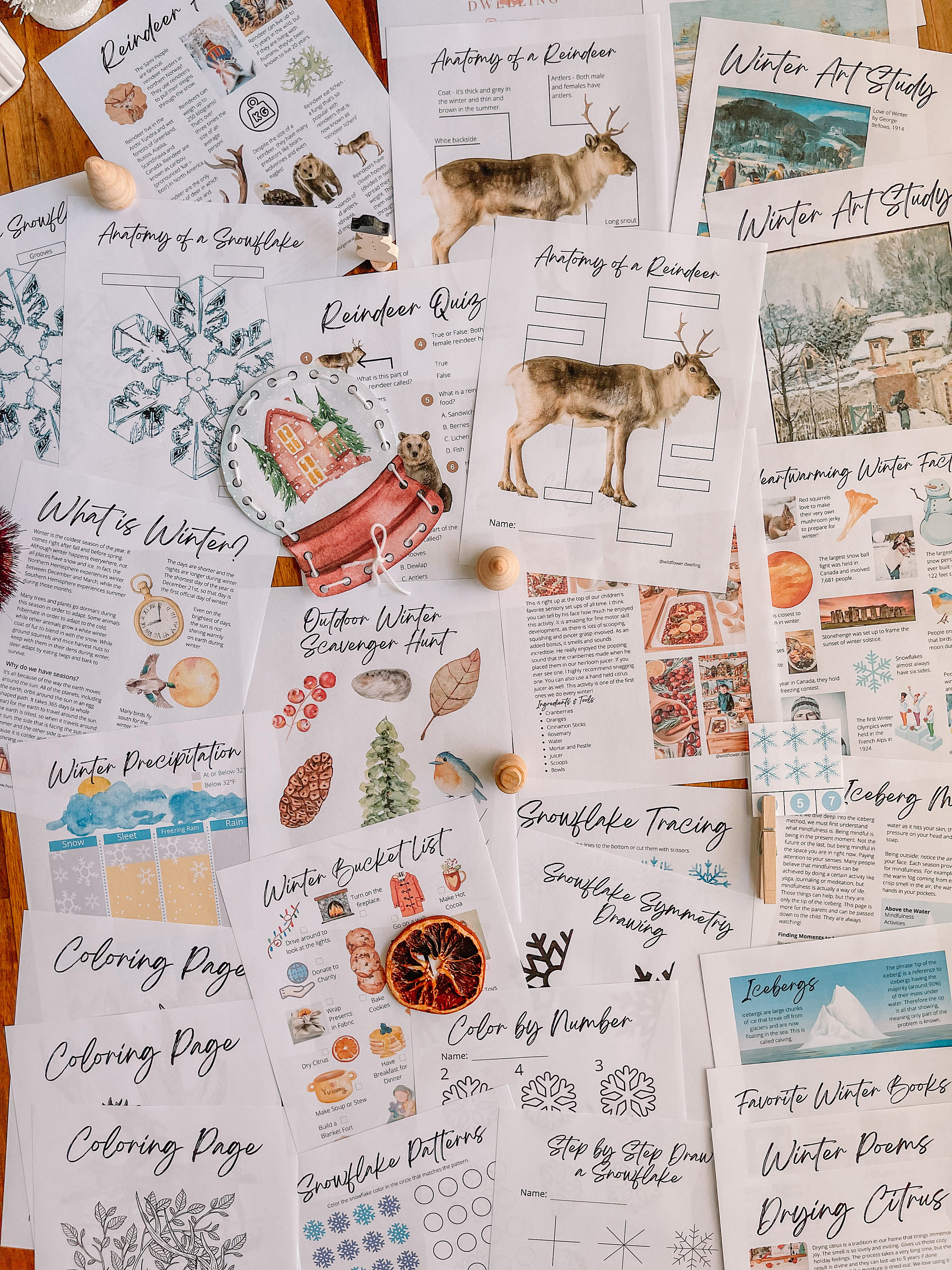 Winter Unit Study - Etsy