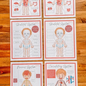 Hospital Dramatic Play Unit - Etsy