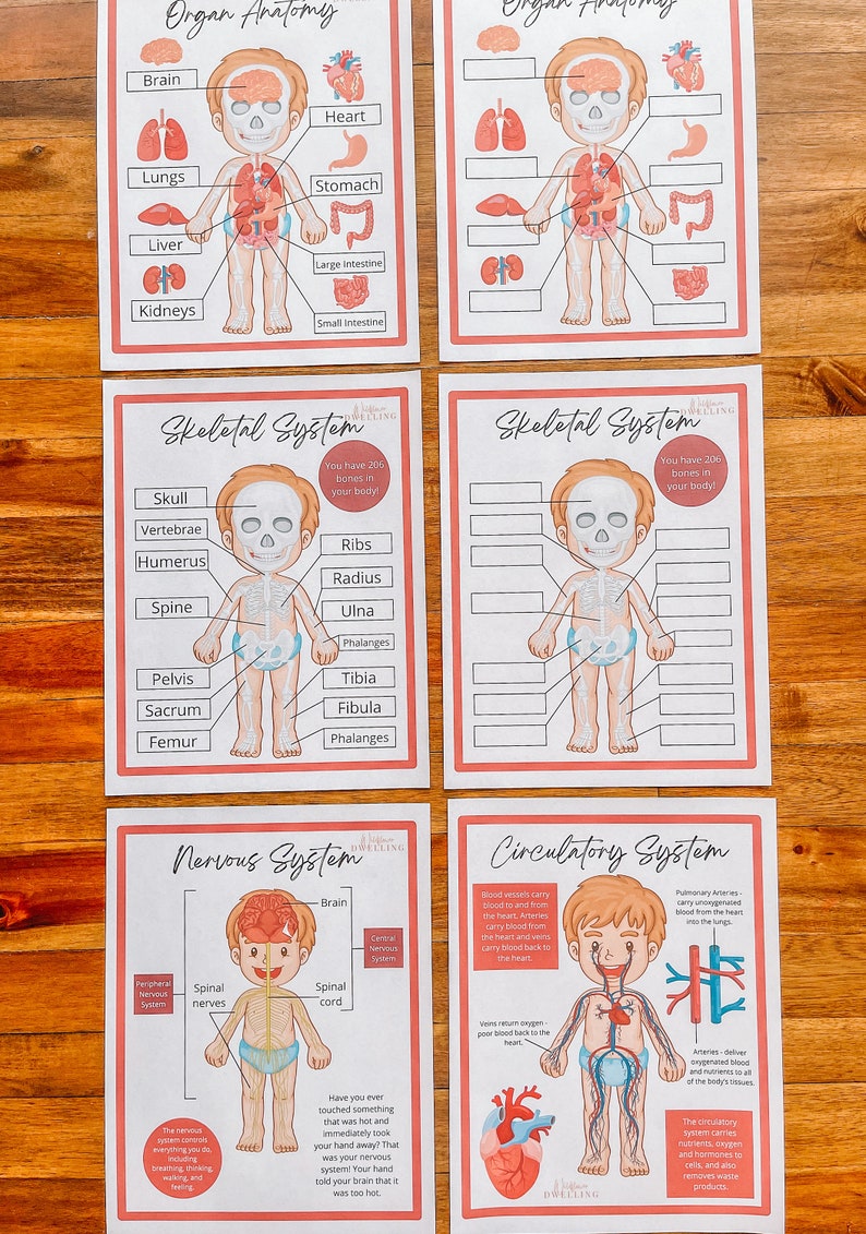 Hospital Dramatic Play Unit - Etsy