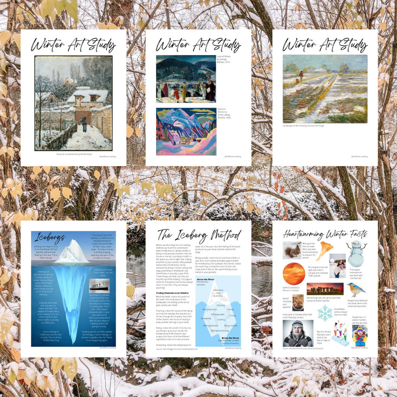 Winter Unit Study - Etsy