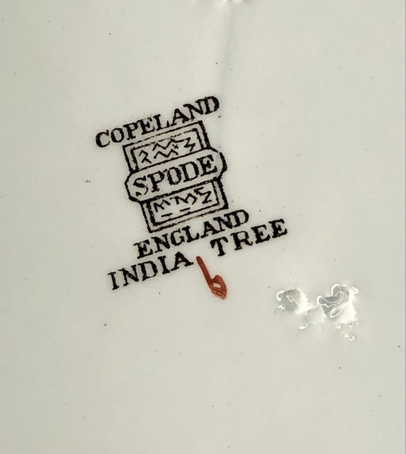 Copeland Spode India Tree 7 5/8 Dia Soup Bowl Orange Rust, Scallop, Red ...