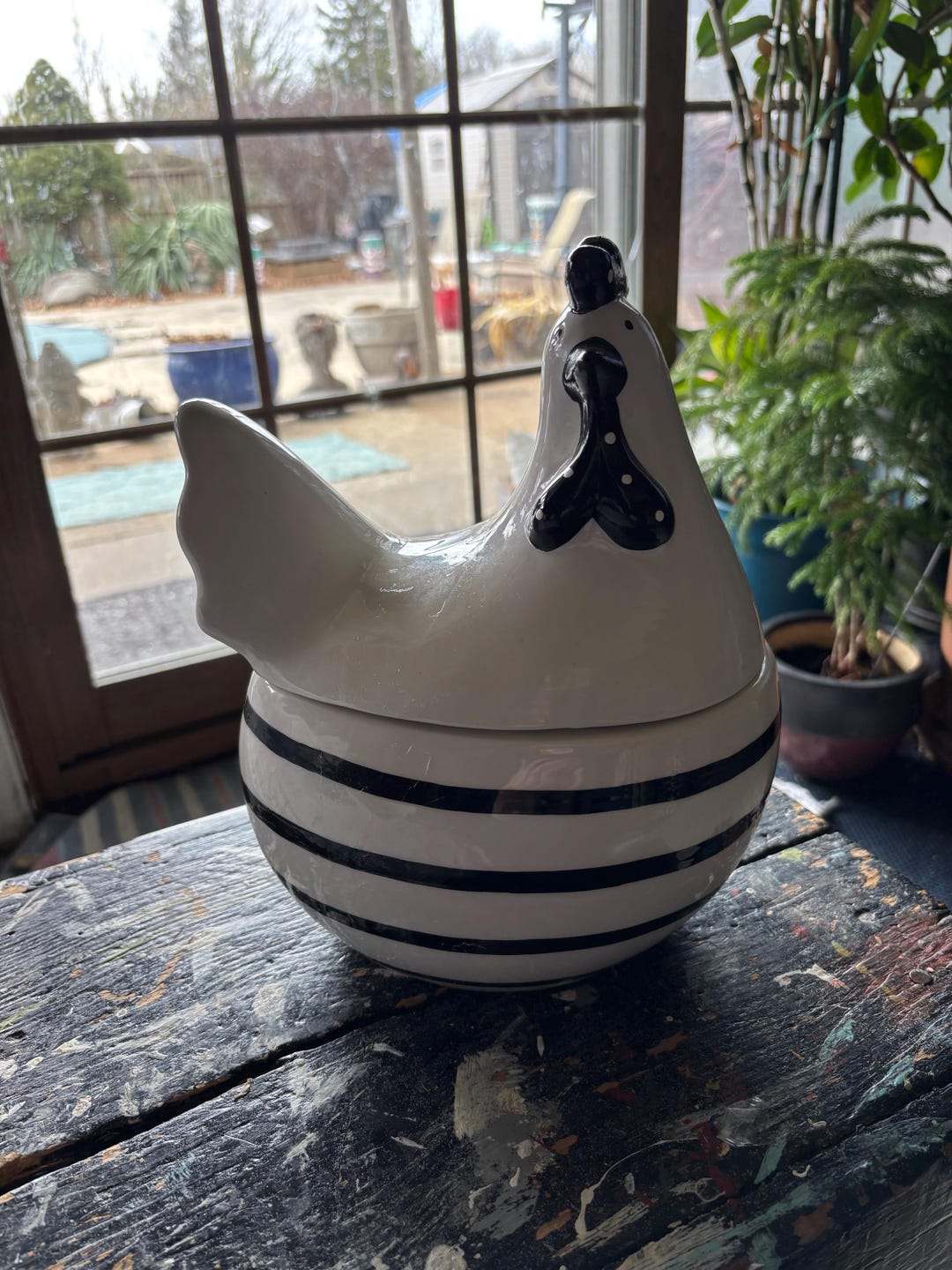 Chicken Container or Storage - Etsy