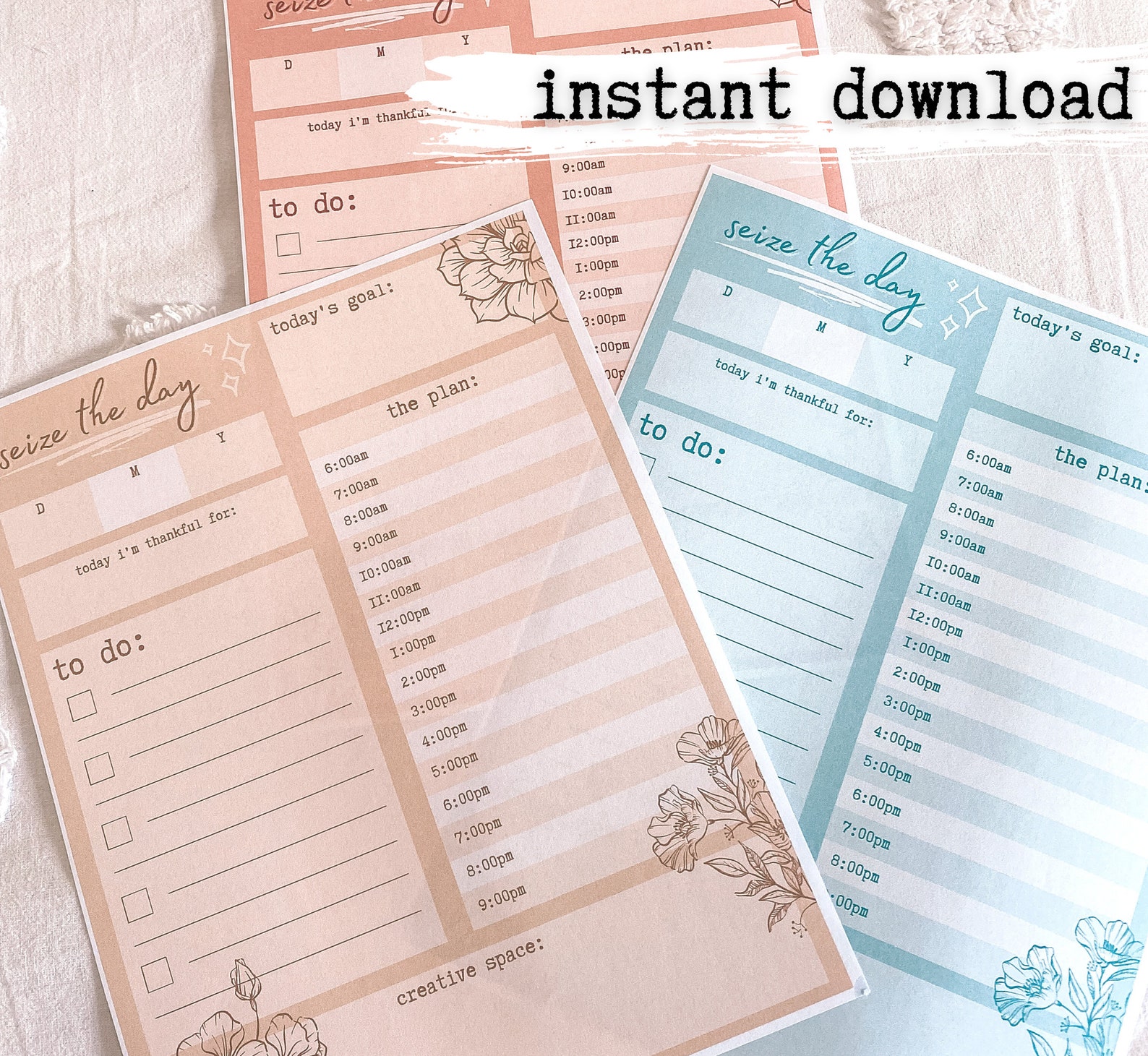 Seize the Day Daily Planner Worksheet, Daily Schedule - Printable PDF ...