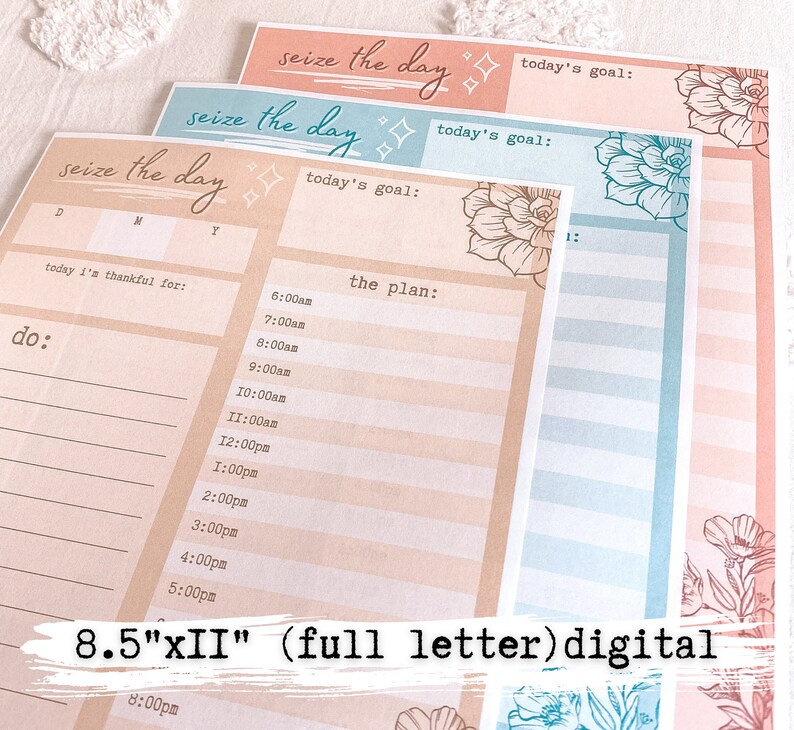 Seize the Day Daily Planner Worksheet, Daily Schedule - Printable PDF ...
