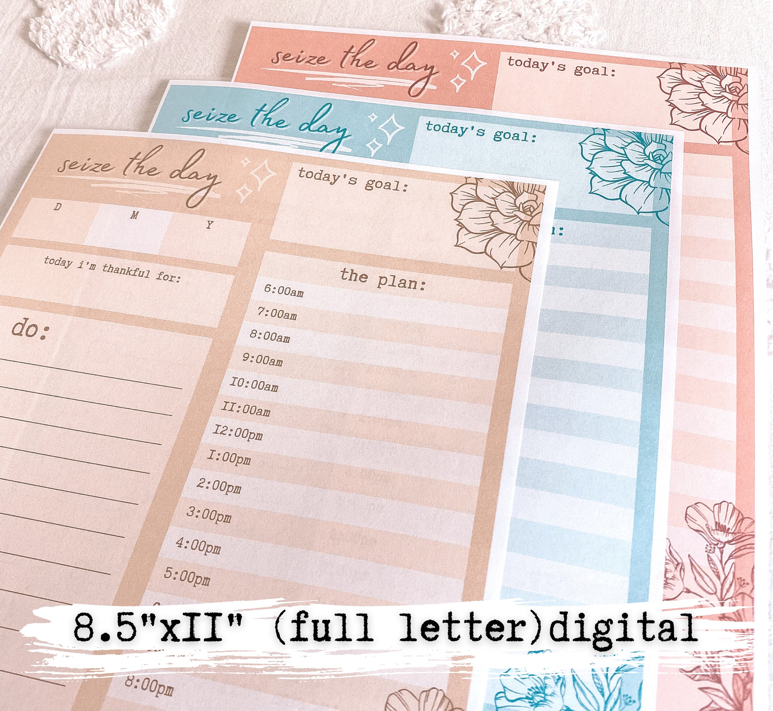 Seize the Day Daily Planner Worksheet, Daily Schedule - Printable PDF ...