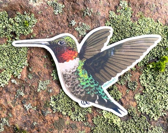 Hummingbird Die Cut - Etsy
