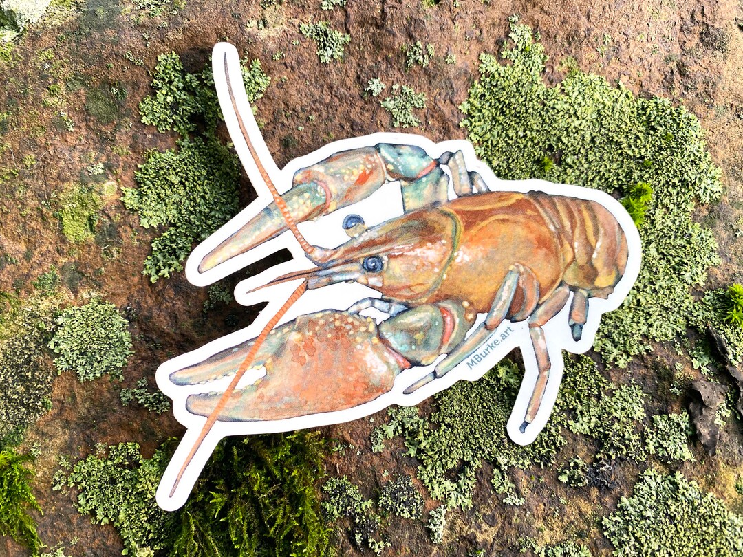 Crayfish Die-cut Vinyl Sticker - Etsy
