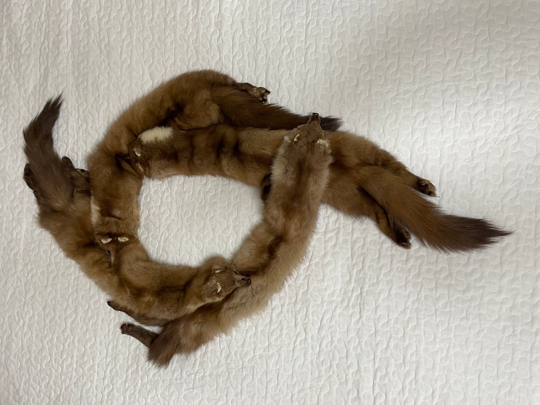 1950s Four Pelt Stone Marten Stole American Sable Stole Bonwit Teller ...