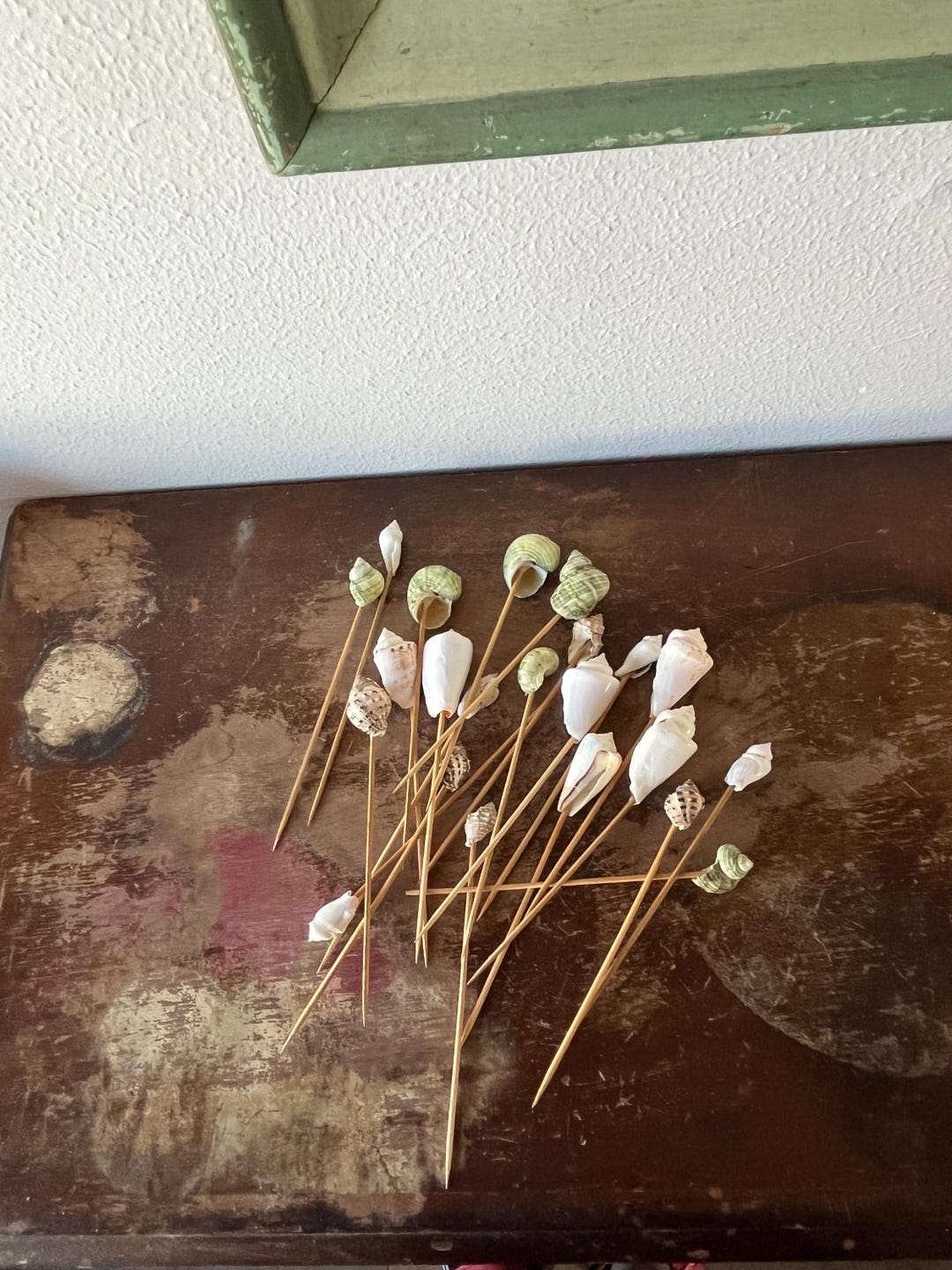 Large Group Seashell Topped Picks Authentic Shells Craft Project Beach ...