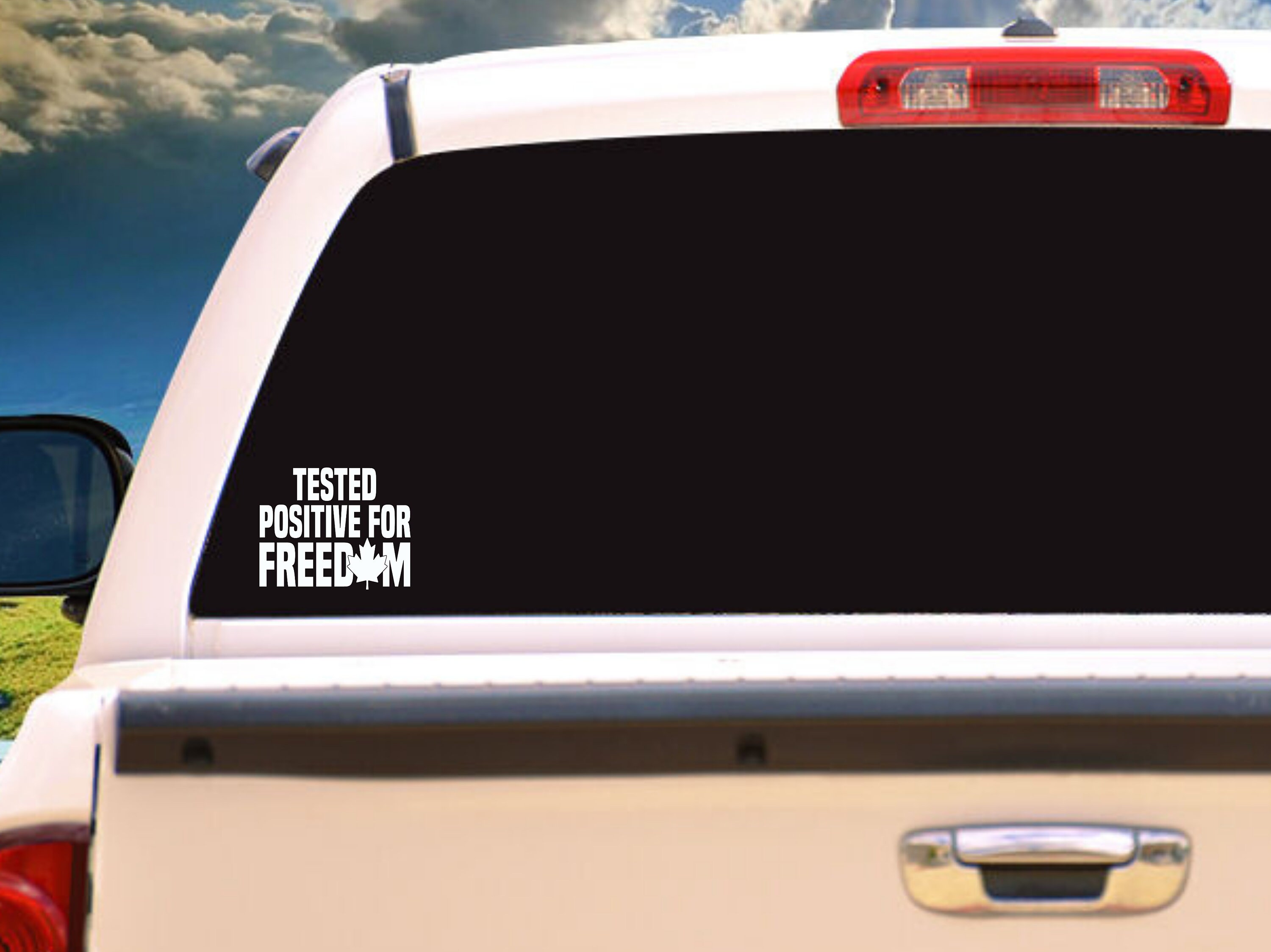Tested Positive for Freedom Car Decal, Mandate Freedom Windshield ...