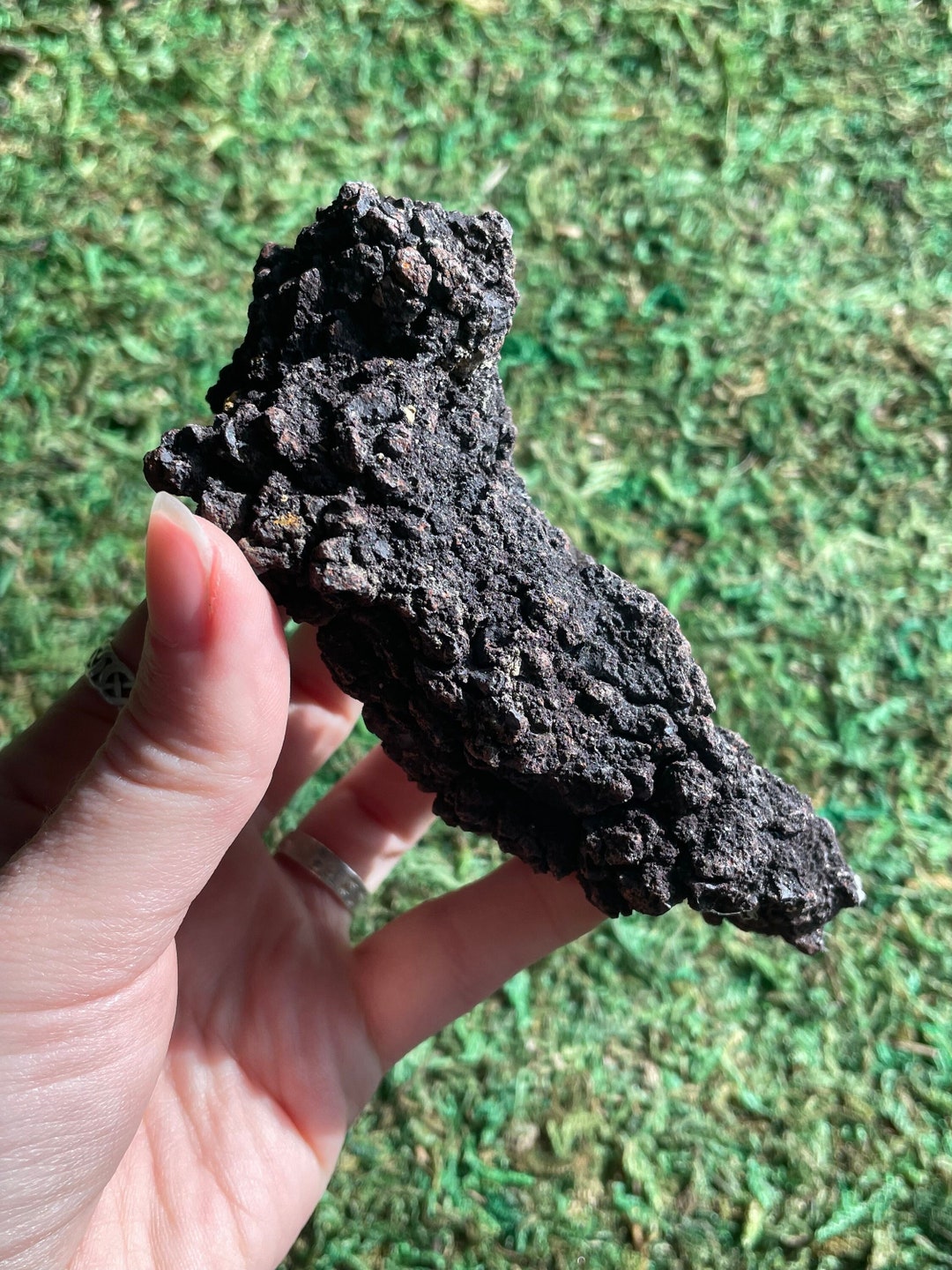 Coprolite (fossilized Poop!) - Etsy