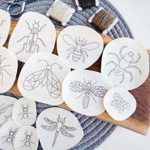 Insect Stick and Stitch Embroidery Designs | Stick and Stitch Bug ...