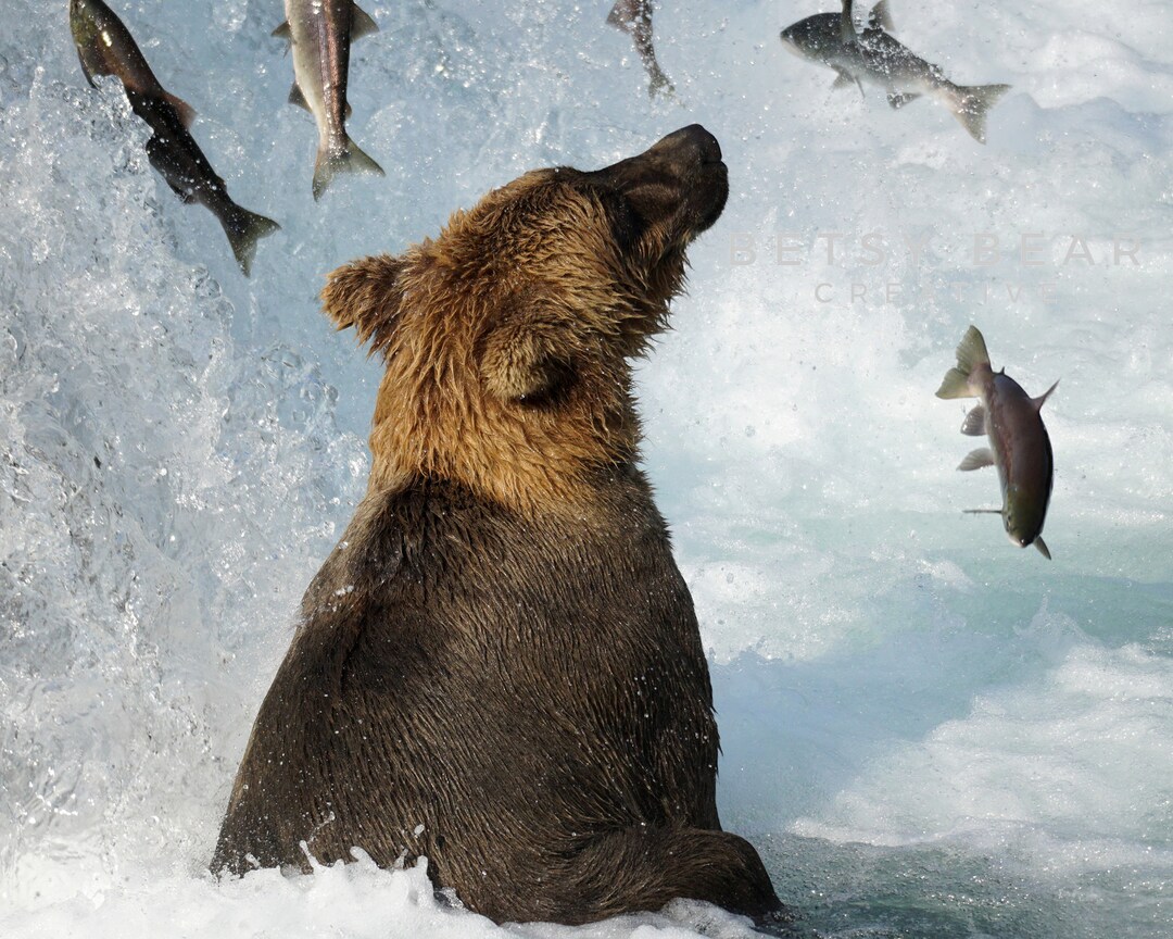 Photo Print: Juggling Fish (2021) - Etsy