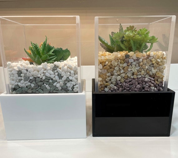 Indoor Planters Personalized Planter Clear Acrylic with Name ...