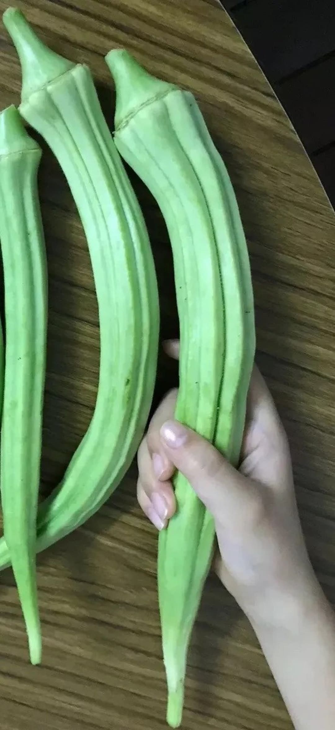 Giant Okra Vegetable Seed Okra ‘bhut Bhindi’, Grows to 1.5 Metres Tall ...