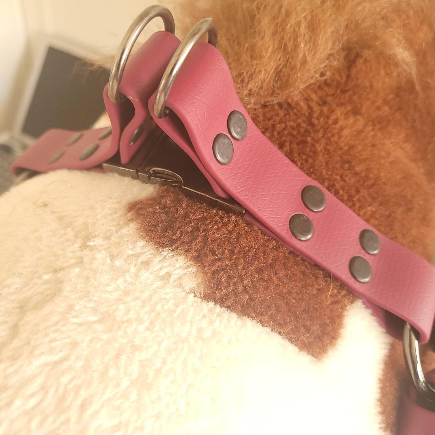 1" Biothane 3way Adjustable Harness Completely Custom - Etsy