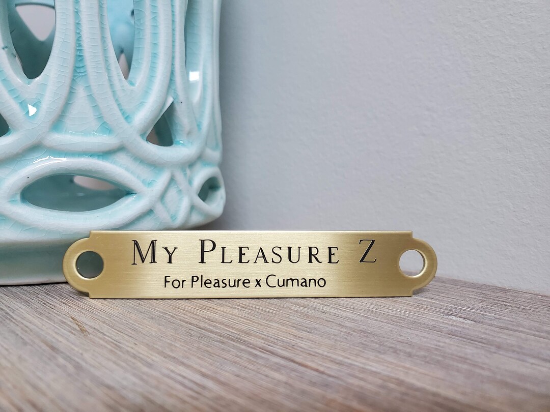 HALTER PLATE Medium BRASS, Equine, Custom Engraved, Solid, Made to ...