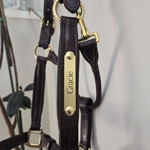 HALTER PLATE Medium BRASS, Equine, Custom Engraved, Solid, Made to ...
