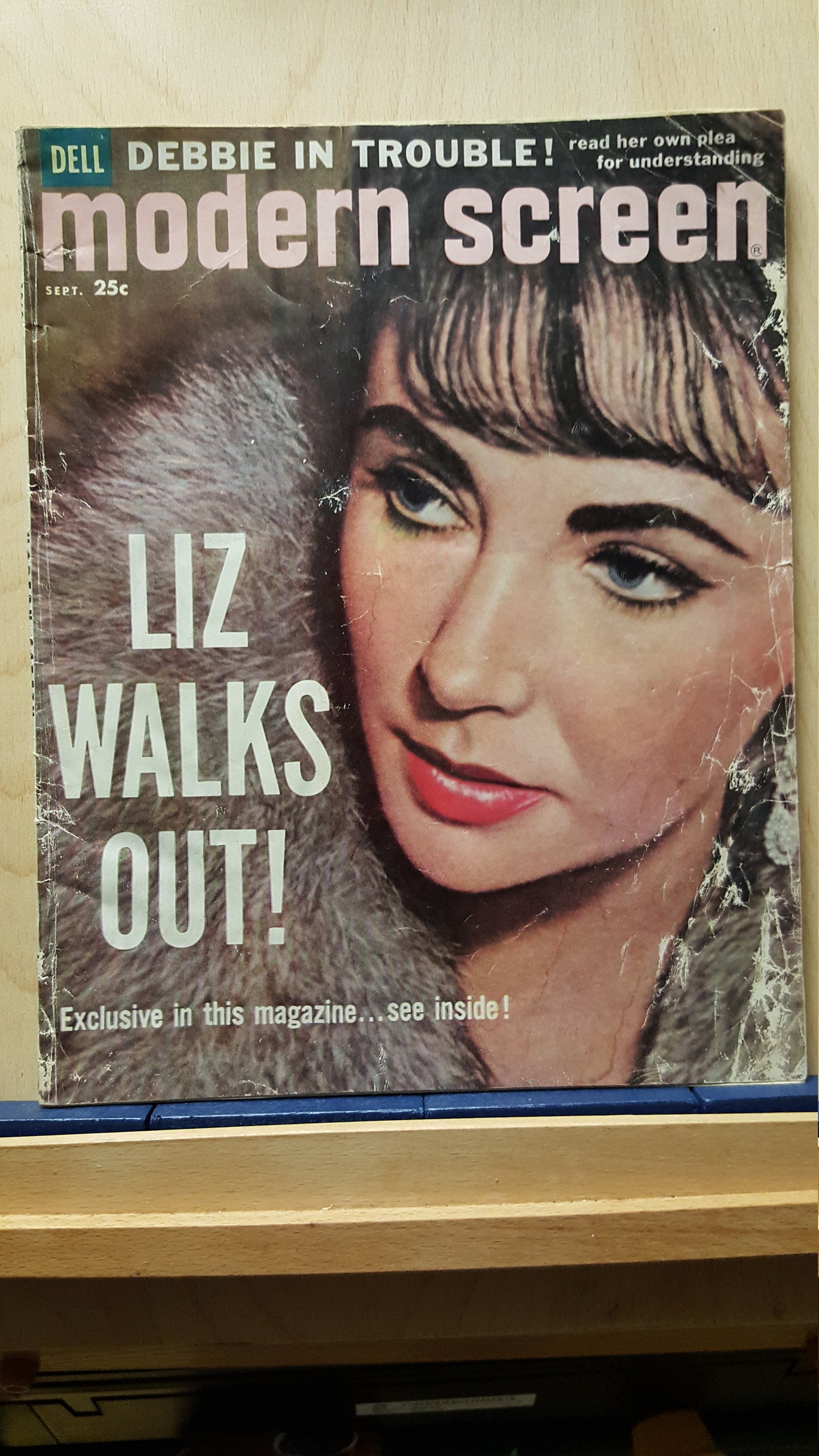 Michelle Graybill's Instagram, Twitter & Facebook on IDCrawl