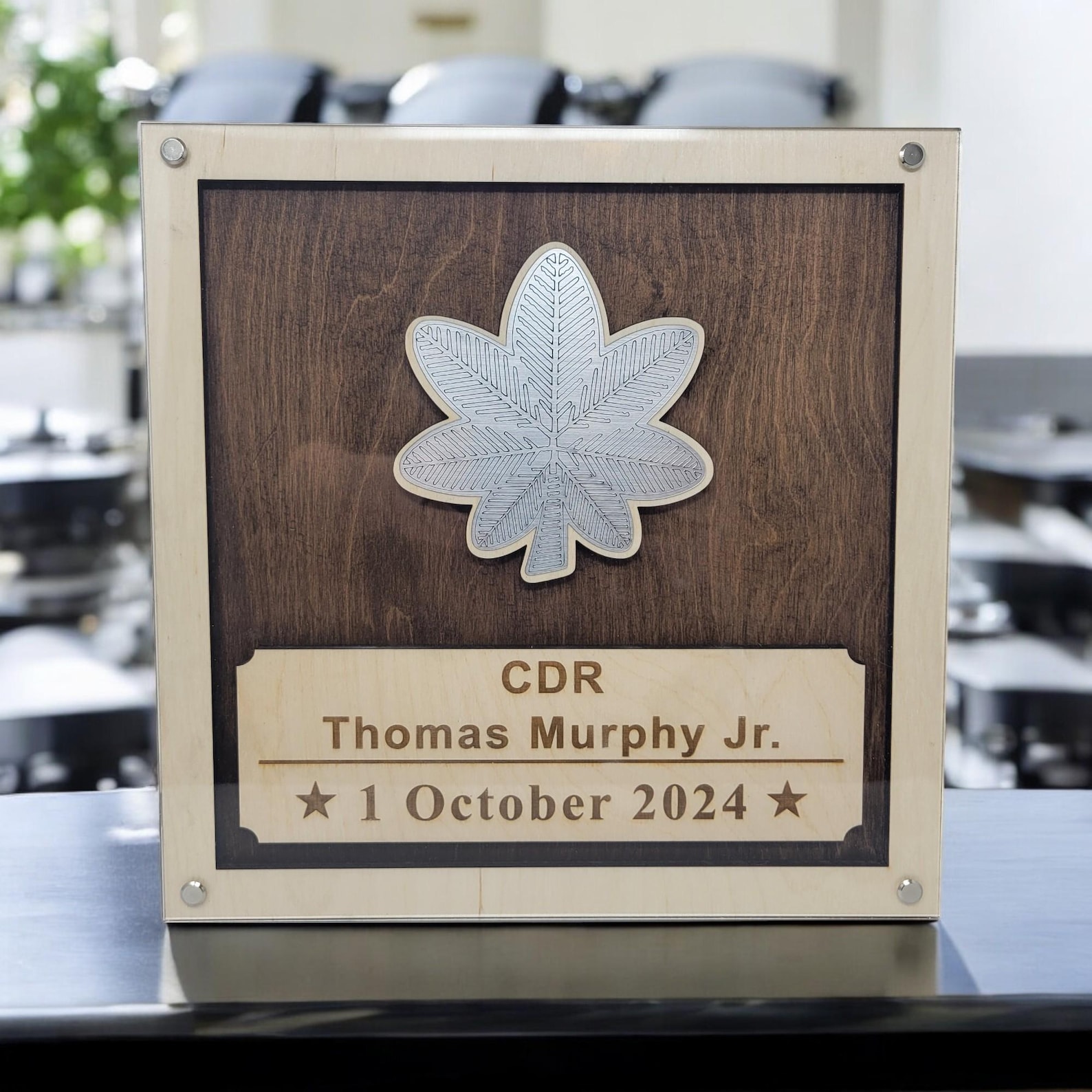 US Navy Promotion Gift Plaque, Military Promotion Gift for Officer or ...