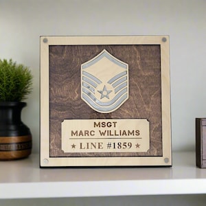 Air Force Promotion Gift Plaque, Military Promotion Gift for Officer or ...