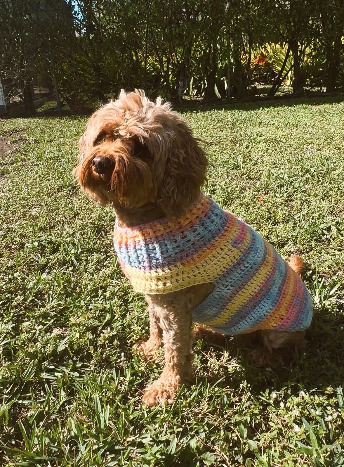 Crochet Dog Sweater Pattern Size Medium, PDF ONLY, Dog Crochet Sweater ...