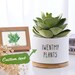 Custom Flower Planter Pot Personalized Text Ceramic Succulent Plant Pot ...