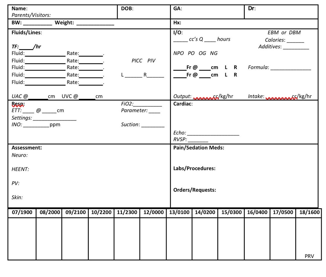 NICU Nursing Report Sheet - Etsy