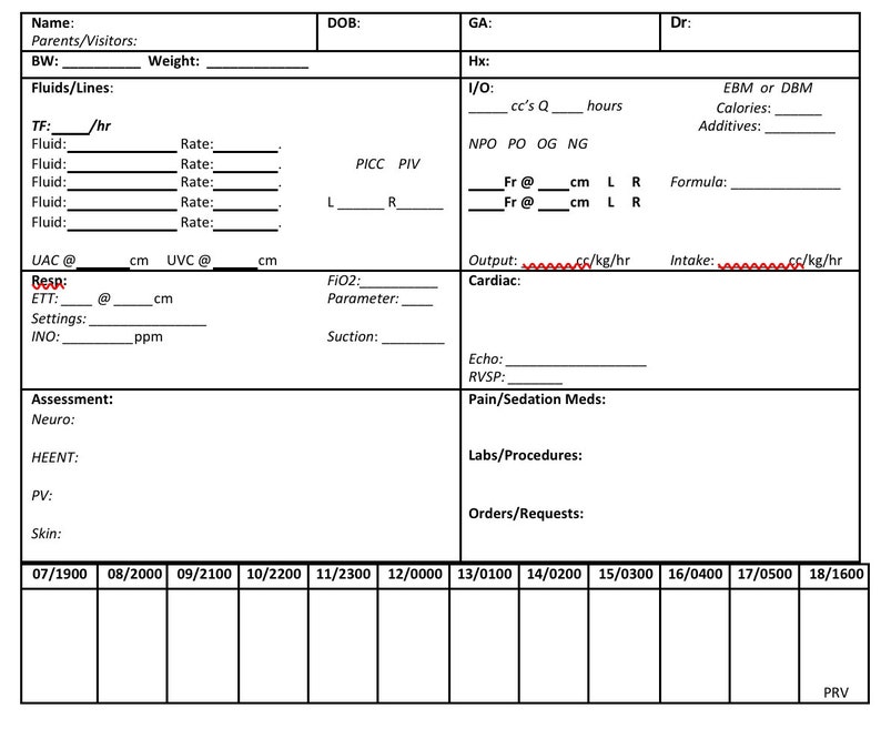 NICU Nursing Report Sheet - Etsy