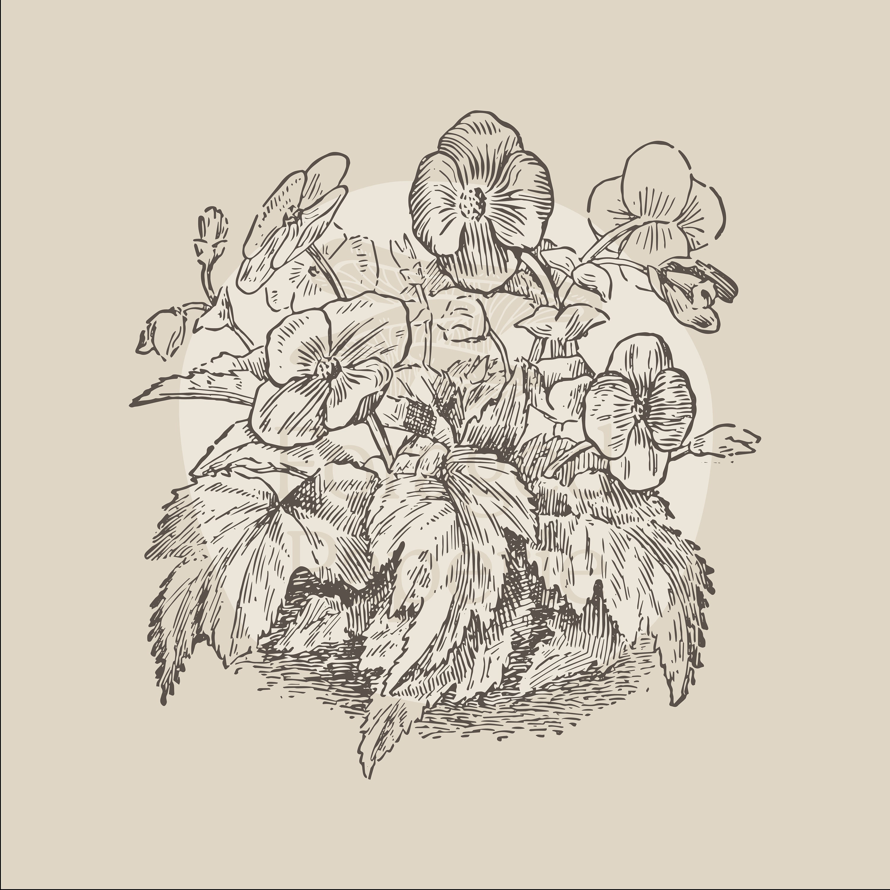 Begonia Flower Drawing