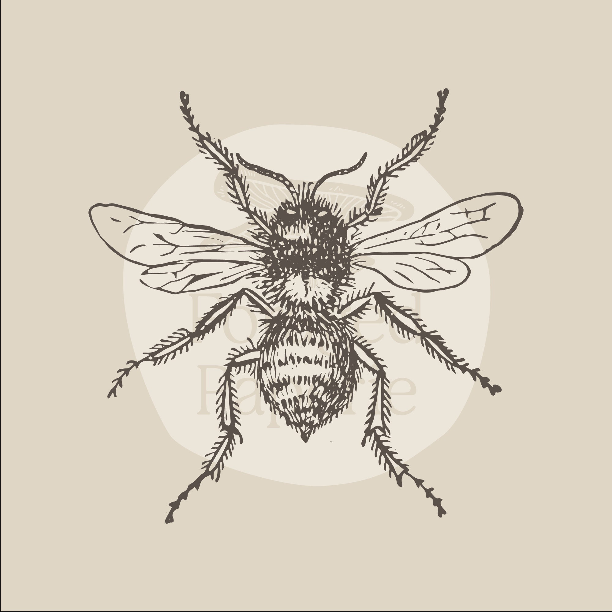 Vintage Hand-drawn Bee Illustration // Bumblebee Graphic // Honey Bee ...